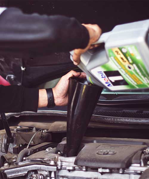 Springbok Trading & Logistics